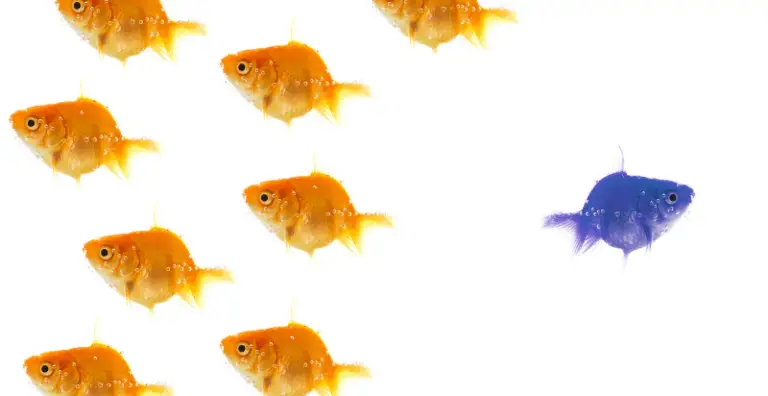 40 Most Insightful Quotes About Being Different - AnQuotes.com
