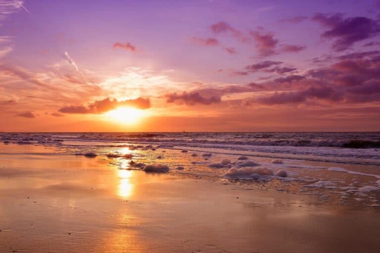 50 Meaningful Stillness Quotes to Find Peace in Life