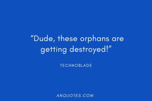 43 Most Popular Technoblade Quotes