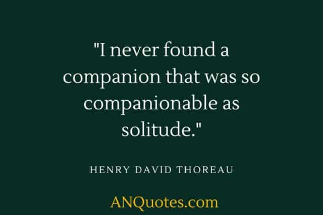 44 Inspirational Alpha Lone Wolf Quotes