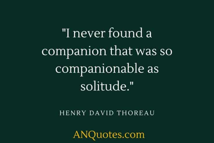 44 Inspirational Alpha Lone Wolf Quotes